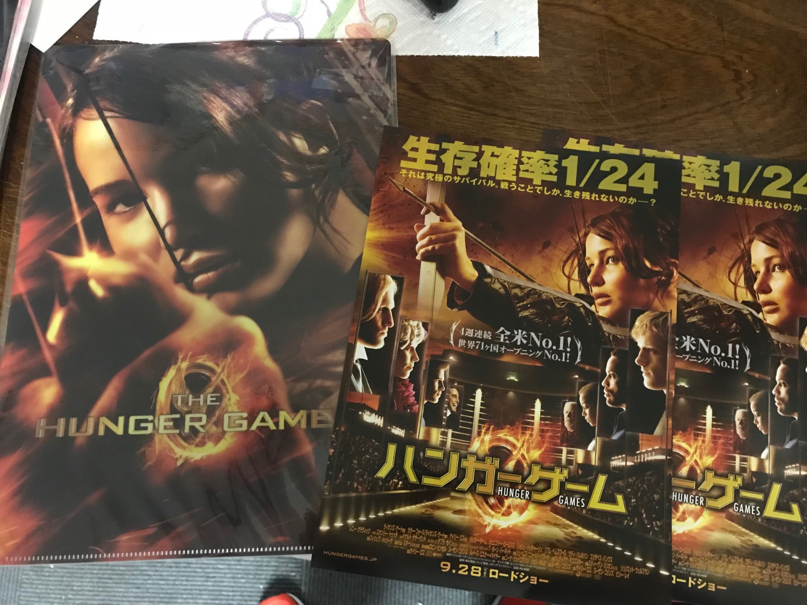 HUNGER GAMES Japan clear file/flyer x2 rare 2012! Jennifer Lawrence Wes ...