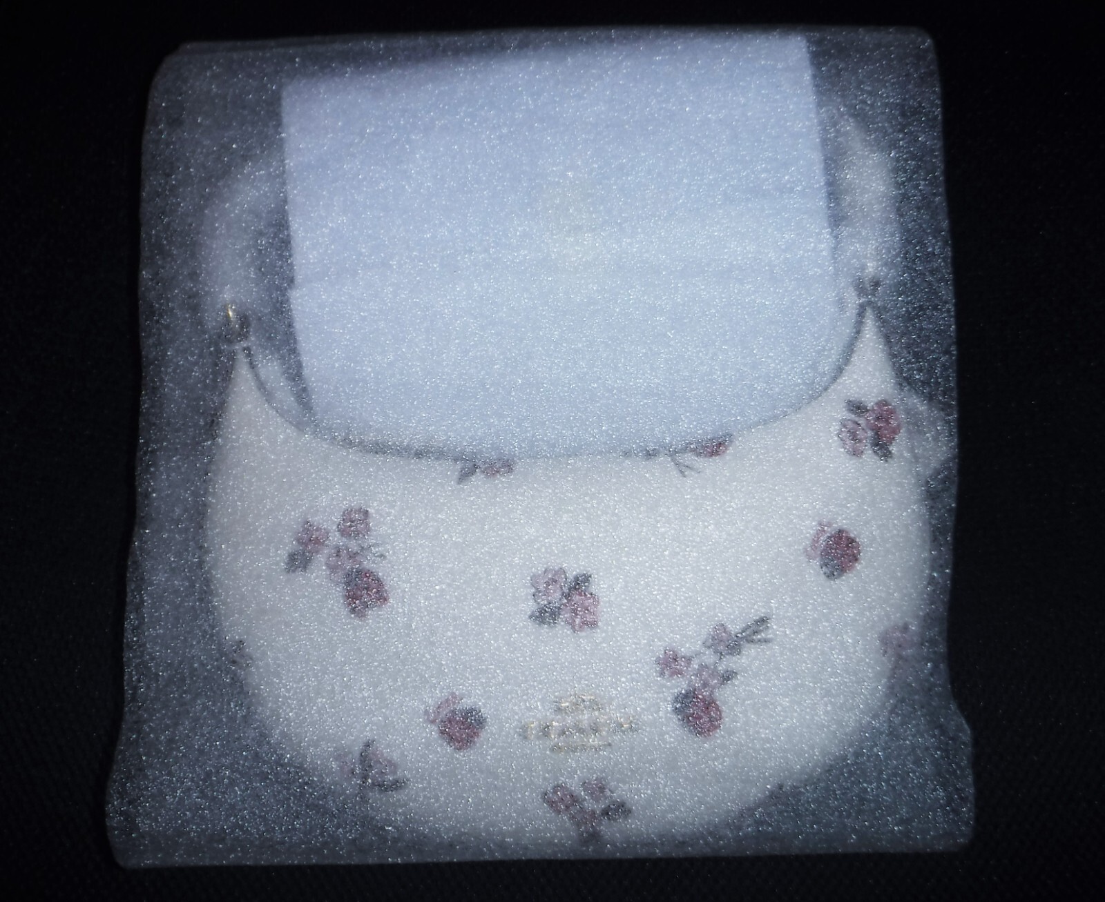 With Tags & Wrapped Up COACH Mini Payton With Ladybug Floral Print ...