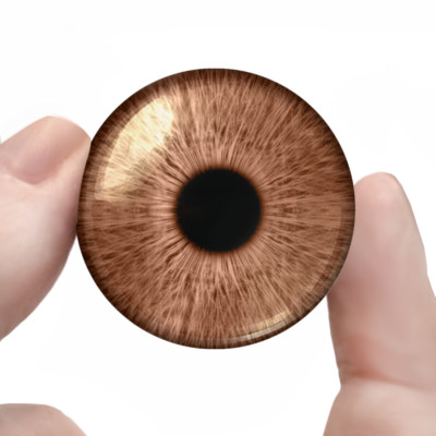 30mm Brown Human Eyeballs Iris Taxidermy Glass Doll Prop Craft Eyes 1.2 ...