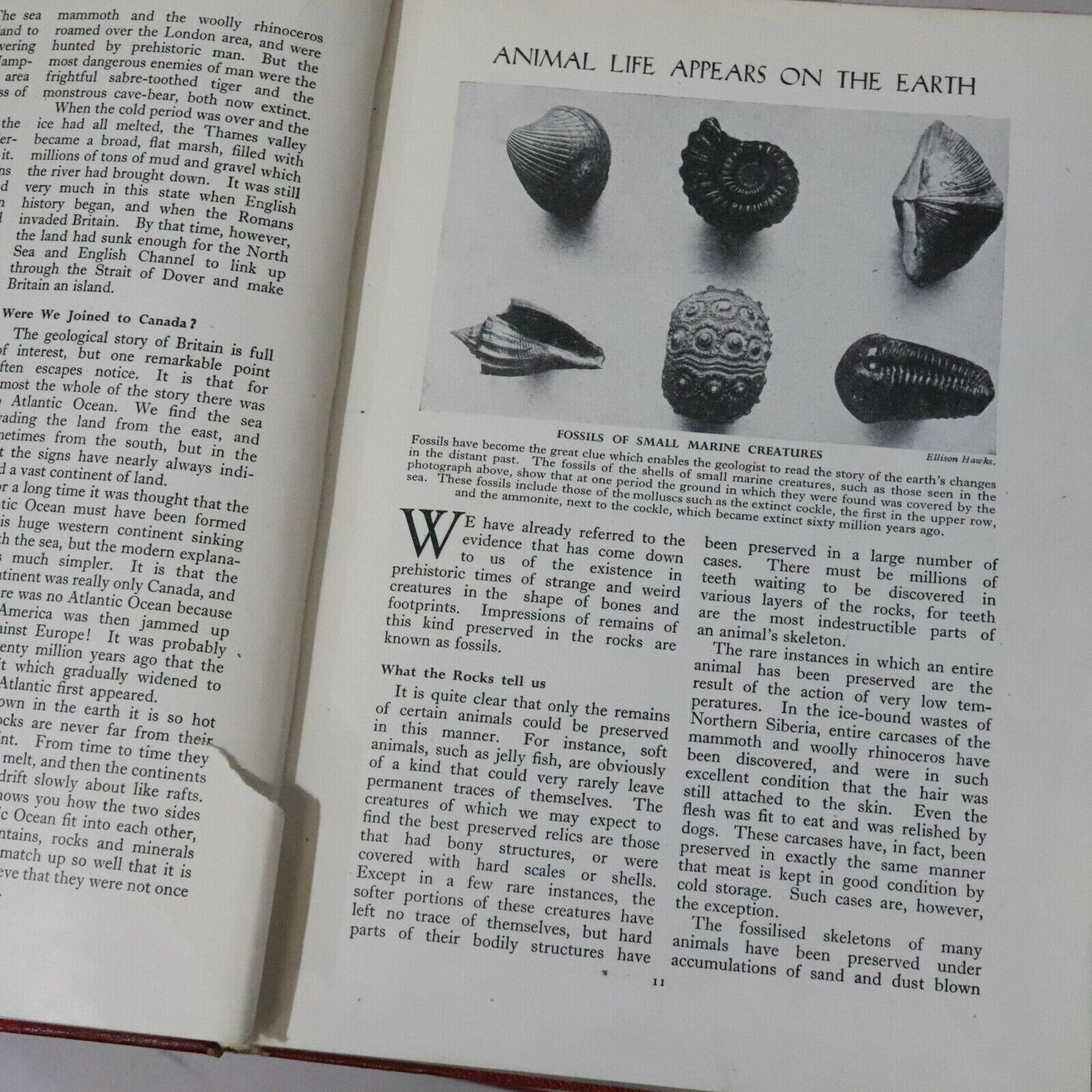 Vintage Newnes Pictorial Knowledge Encyclopaedia Books Complete Red Set ...