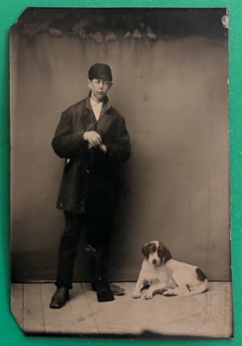 Antique Tintype Photo of Man and Dog Introduced In The 1850's. | eBay