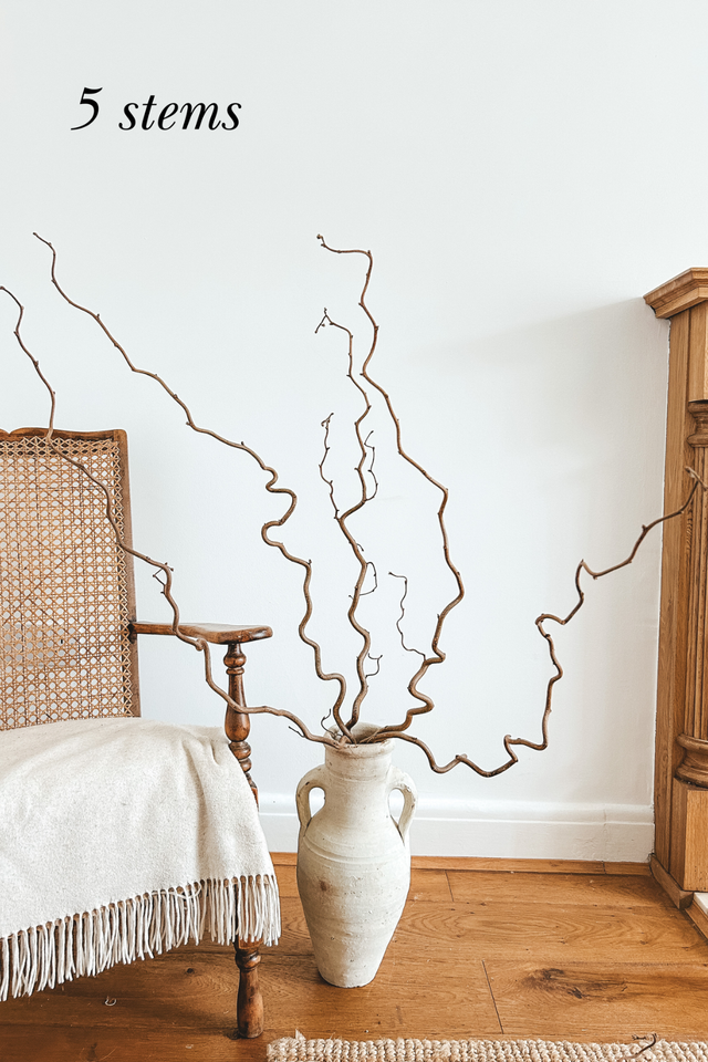 Long Twisted Hazel Branches, Corylus Twigs for Vase, Japandi Branches ...