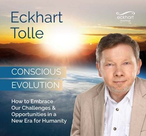 Conscious Evolution: How to Embrace Our Challenges and Opportunities in a New 9781988649221| eBay