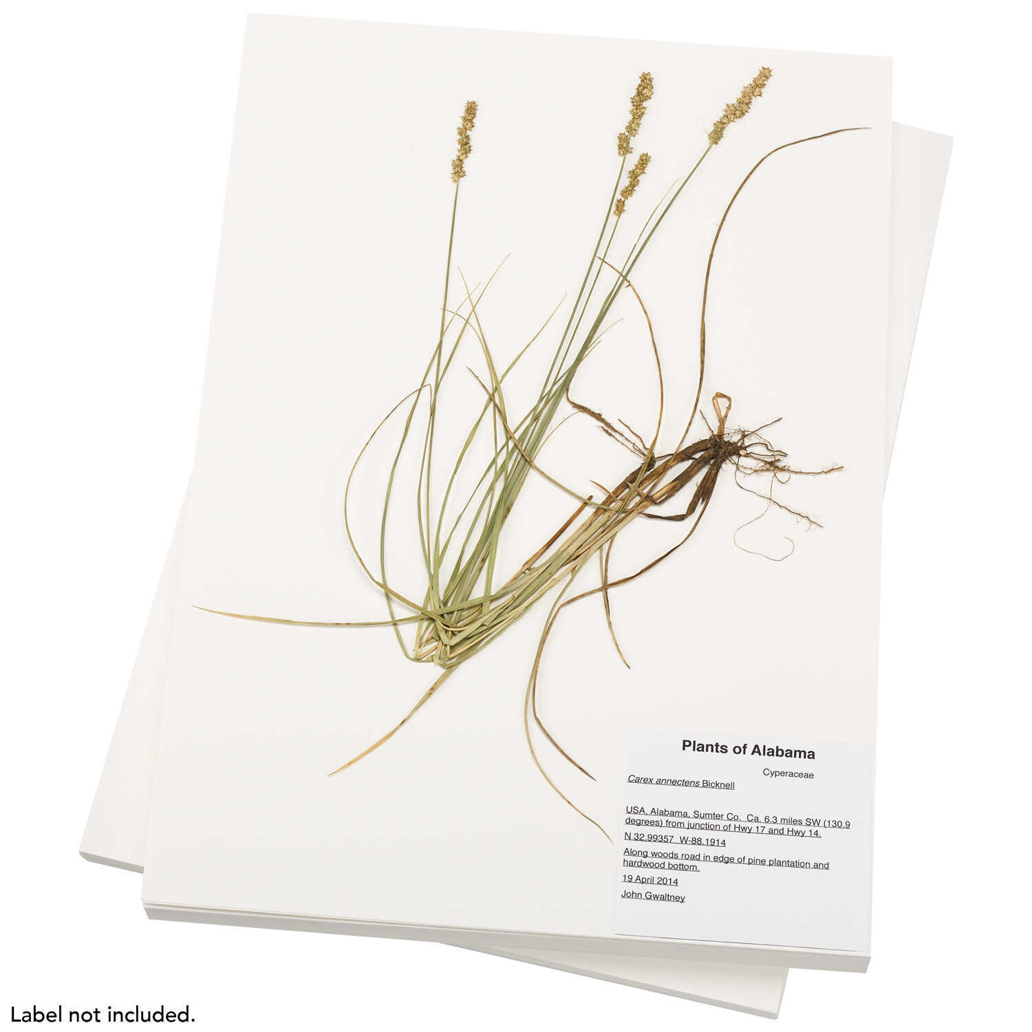 100% Rag Herbarium Mounting Paper | eBay