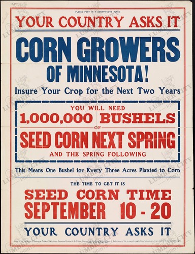 1914 Minnesota Corn Growers Reproduction Poster Wall Art Print Retro | eBay