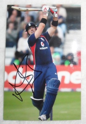 MATT PRIOR CRICKET SIGNED IN PERSON 10 x 15cm PHOTO COA "BUY GENUINE ...