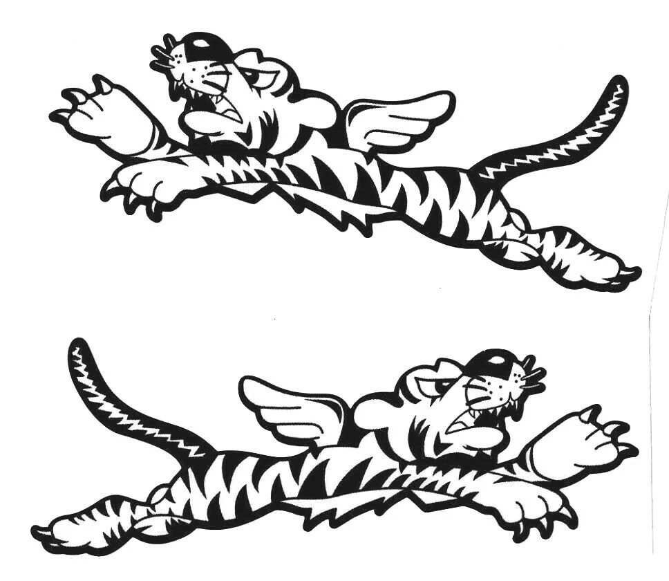 Winged Tiger Drawing