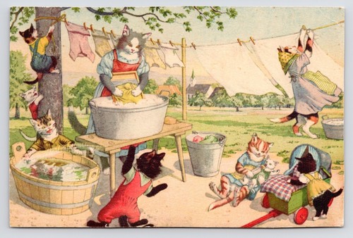 c1900s~Cat Family Laundry day~Anthropomorphic~Max Kunzli~Art Postcard ...