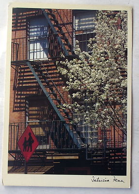 Carte postale Patricia Fenn , New York in blossom CPSM | eBay