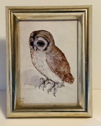 Durer Little Owl 1508 Watercolor Print in Silvertone Wood Martin Aborn ...