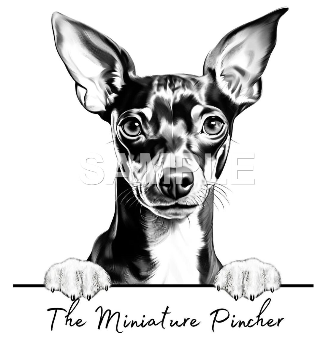 Minature Pincher Decal Sticker Car Truck Window Vinyl | eBay