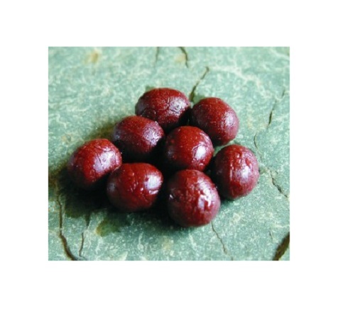 Enterprise Tackle Imitation Baits, Maggots, Grubs, Casters, Worms ...