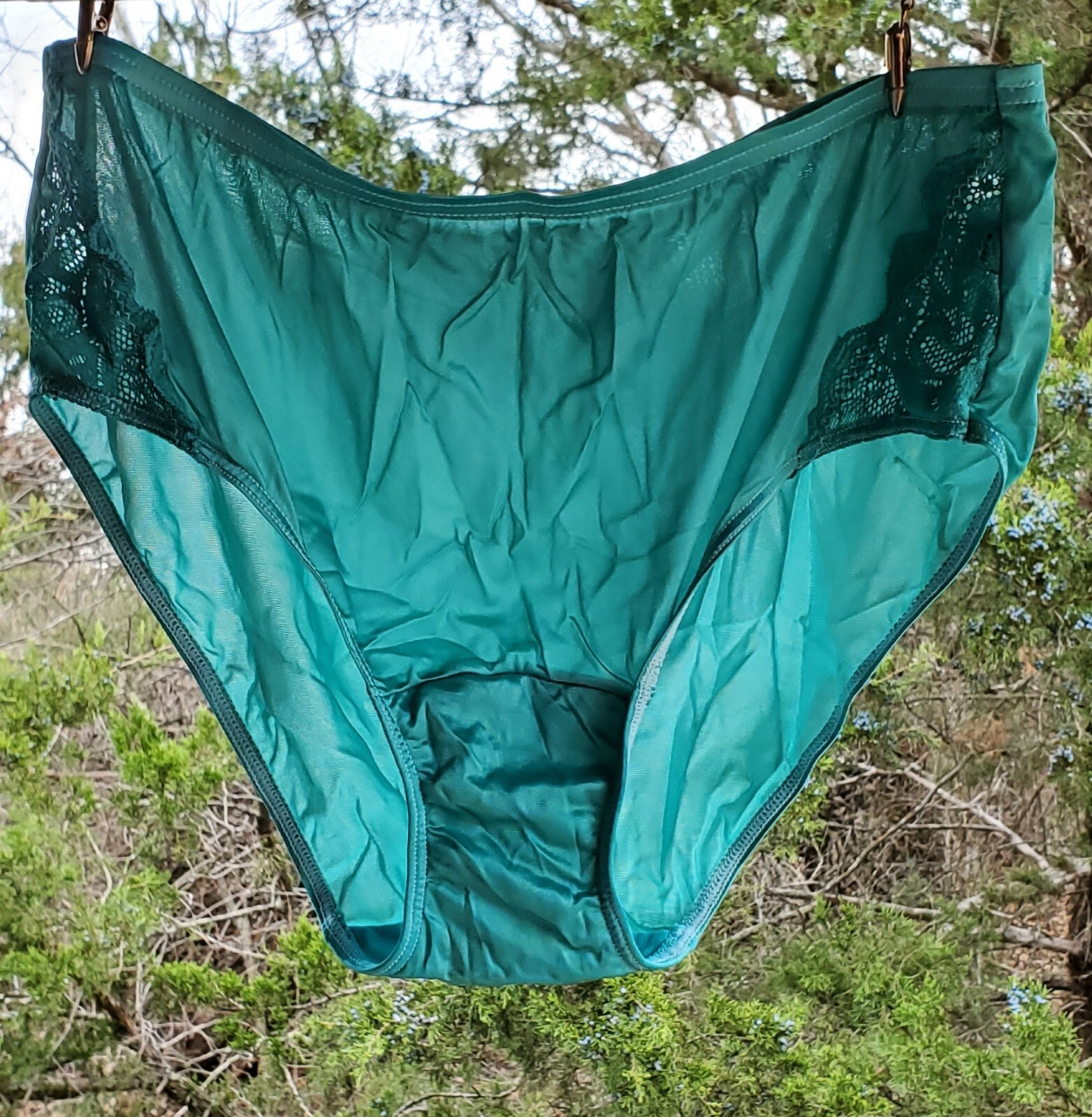 Shadowline Floral Lace Bikini Panty Shiny Nylon Silky… Gem