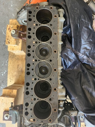 Yanmar 6LY2A-STP 440 HP with ZF220 Marine Gear | eBay