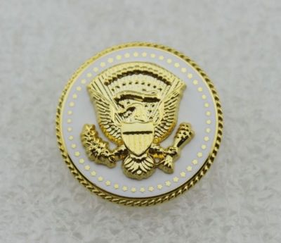 US Vice Presidential President Lapel Pin -repro | eBay