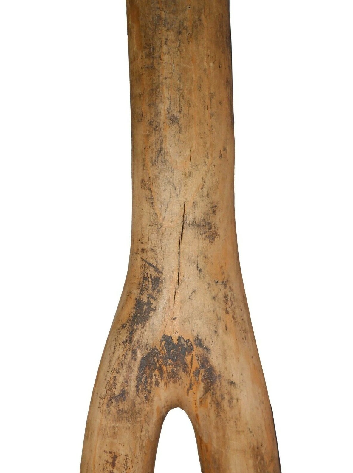 SCARCE EARLY-MID 19TH C AMERICAN ANTIQUE NEW ENGLAND PRIMITIVE ROOT WD ...