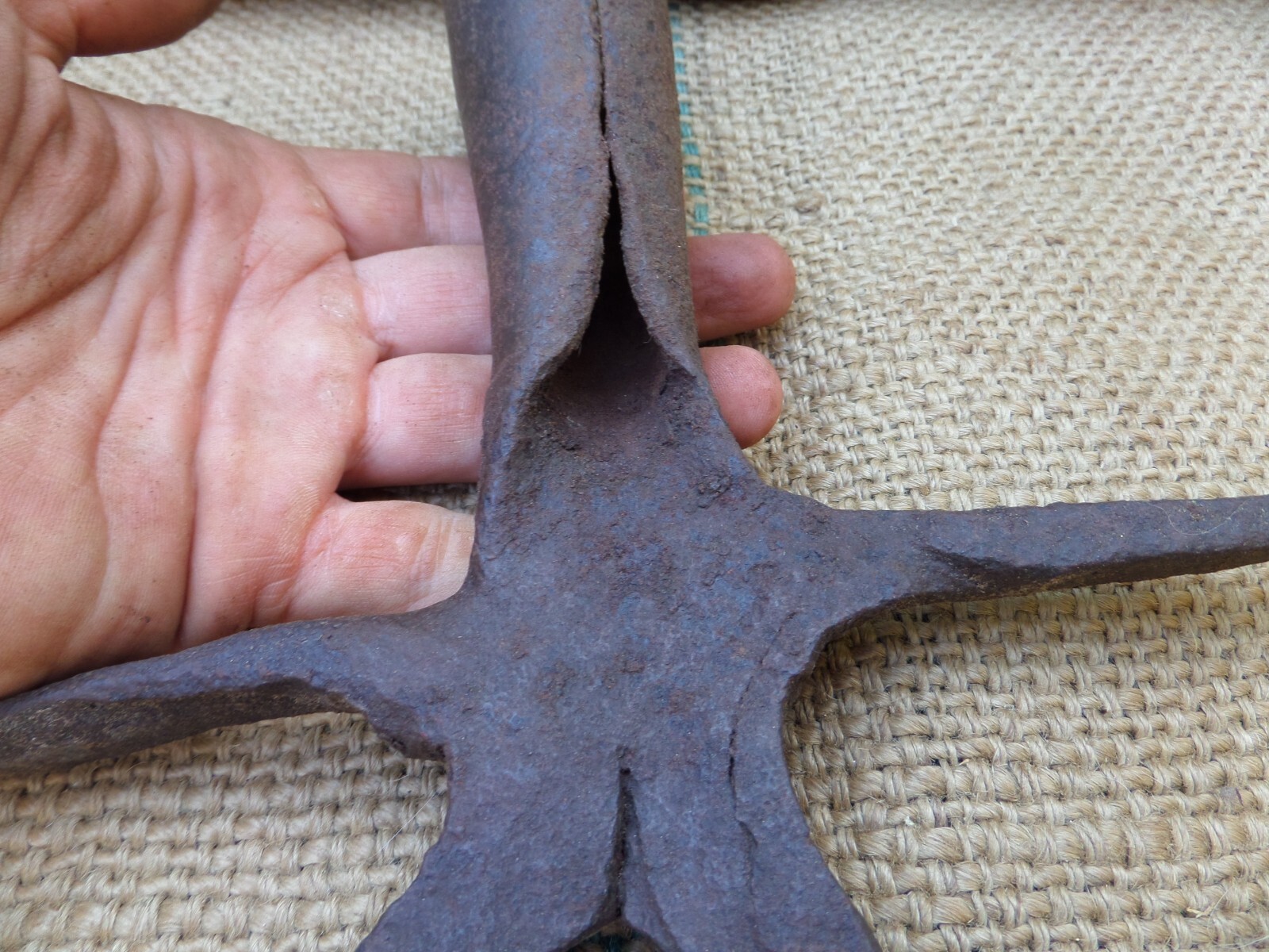 ANTIQUE ROOT PULLER BEET EXTRACTING TOOL DIGGING BEETROOT VINTAGE HAND ...