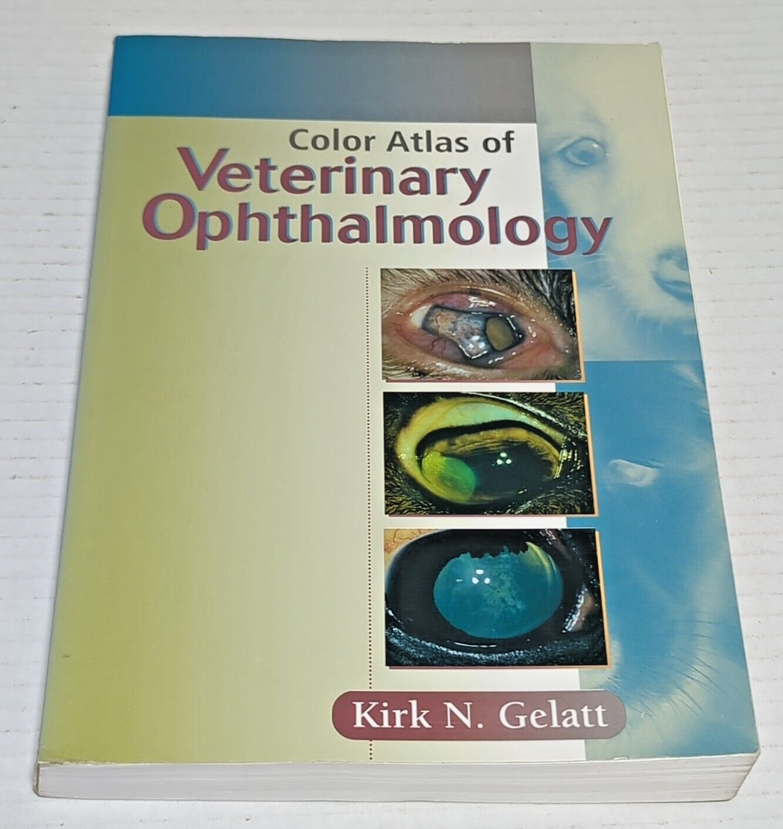 Ophthalmology Pocket Atlas Of Ophthalmology Color Atlas And Synopsis