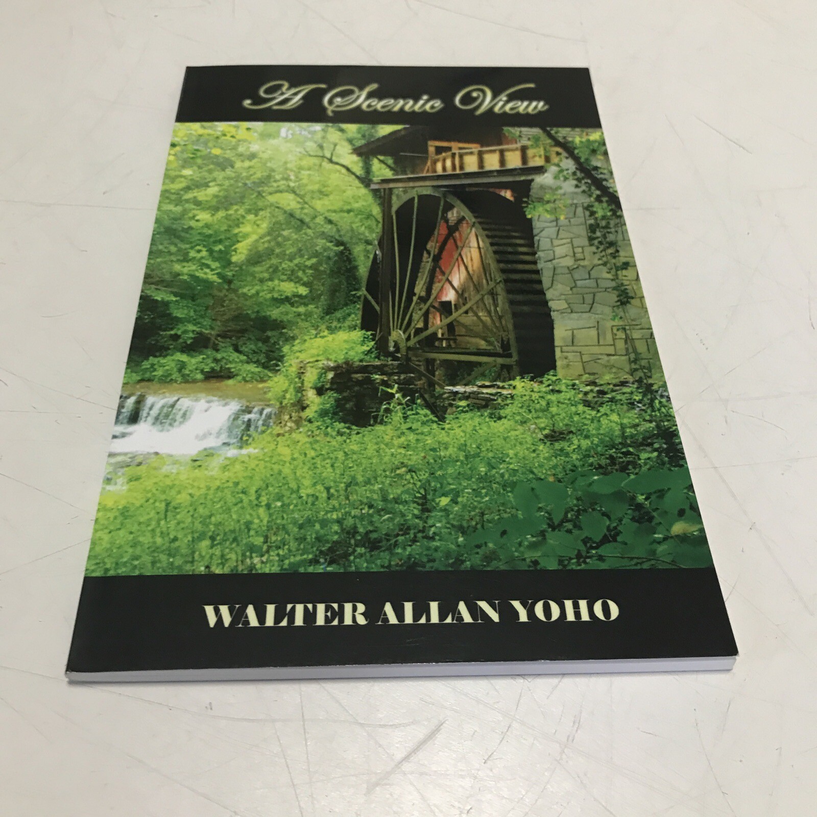A Scenic view By Walter Allan Yoho Paperback | eBay