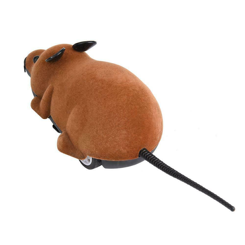 Remote Control R/C Black Rat- Mouse Battery Operated, Move Forward/Back ...