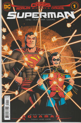 Dark Crisis: Worlds Without Superman #1 - Bagged & Boarded | eBay UK