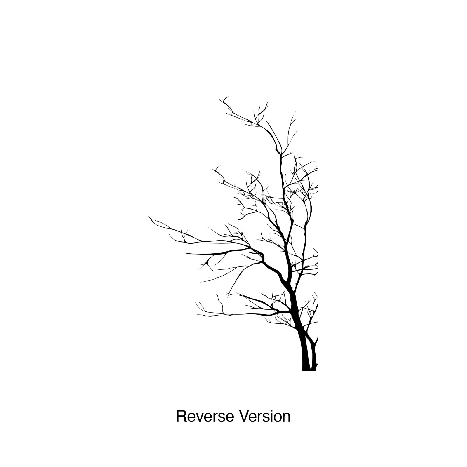 Large Bare Tree Vinyl Wall Decal Sticker. Bedroom, Bathroom Wall Art. # ...