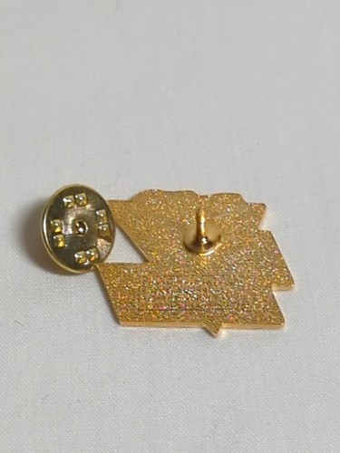 AYSO Good Sports Soccer Ball Vintage Lapel Pin | eBay