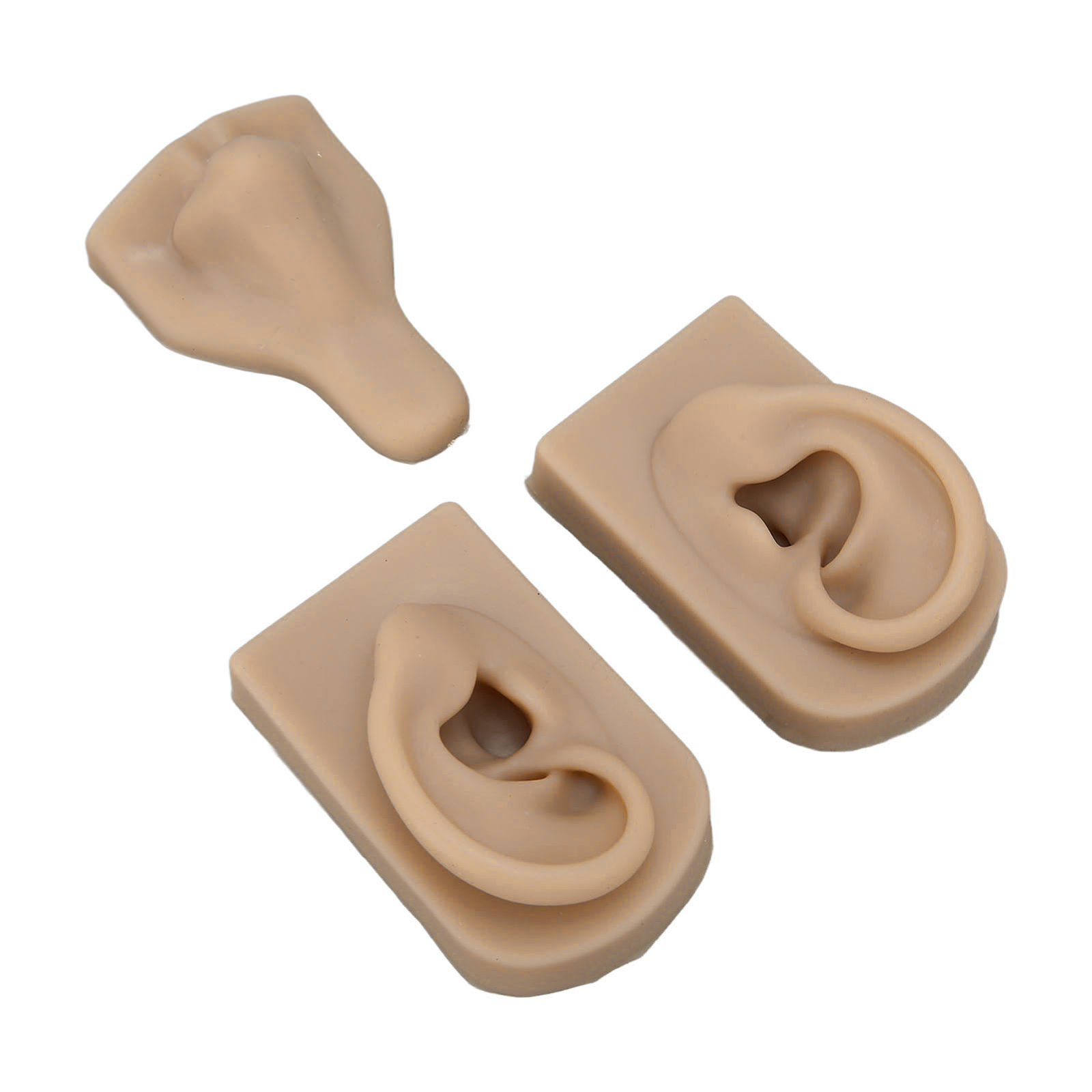 Piercing Practice Model Simulation Nose Ears Model For Teaching(Dark ...