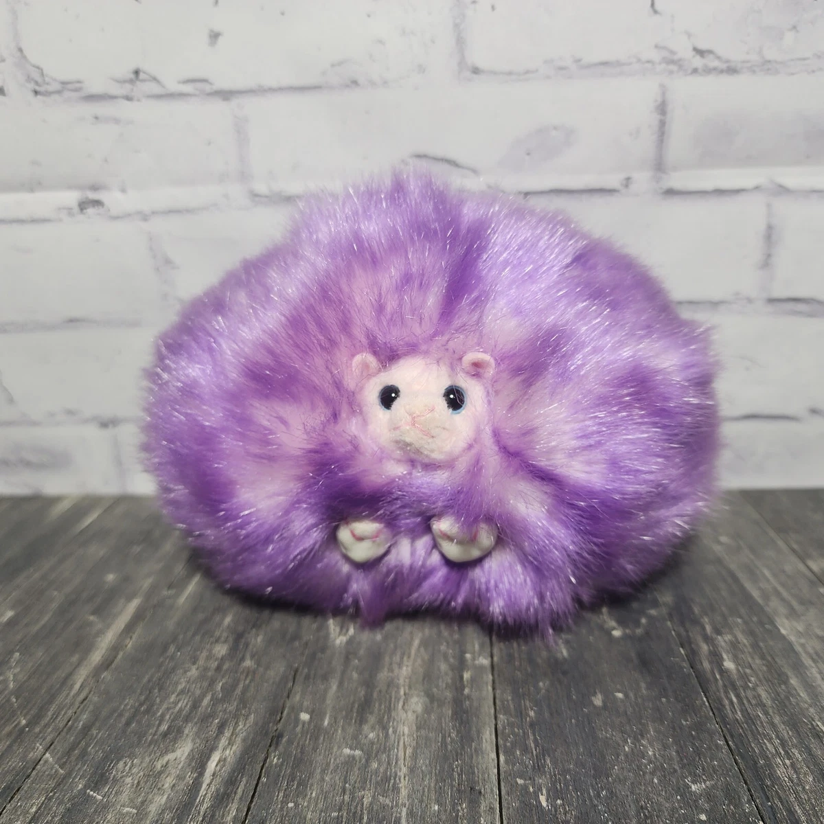 Purple Pygmy Puff