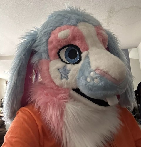 Cotton Candy Bunny Fursuit Head And Paws - Gem