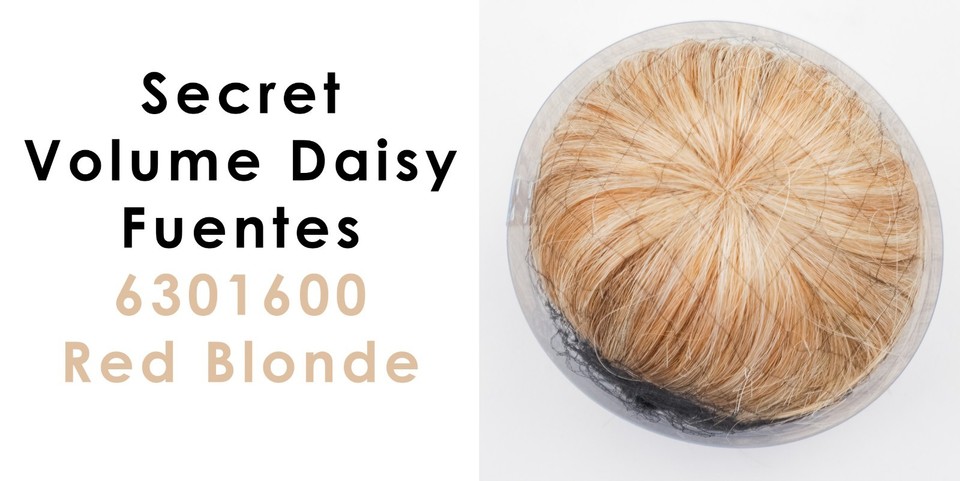 Secret Volume Hair Topper Daisy Fuentes Wig Beauty Glamour Elegant ...