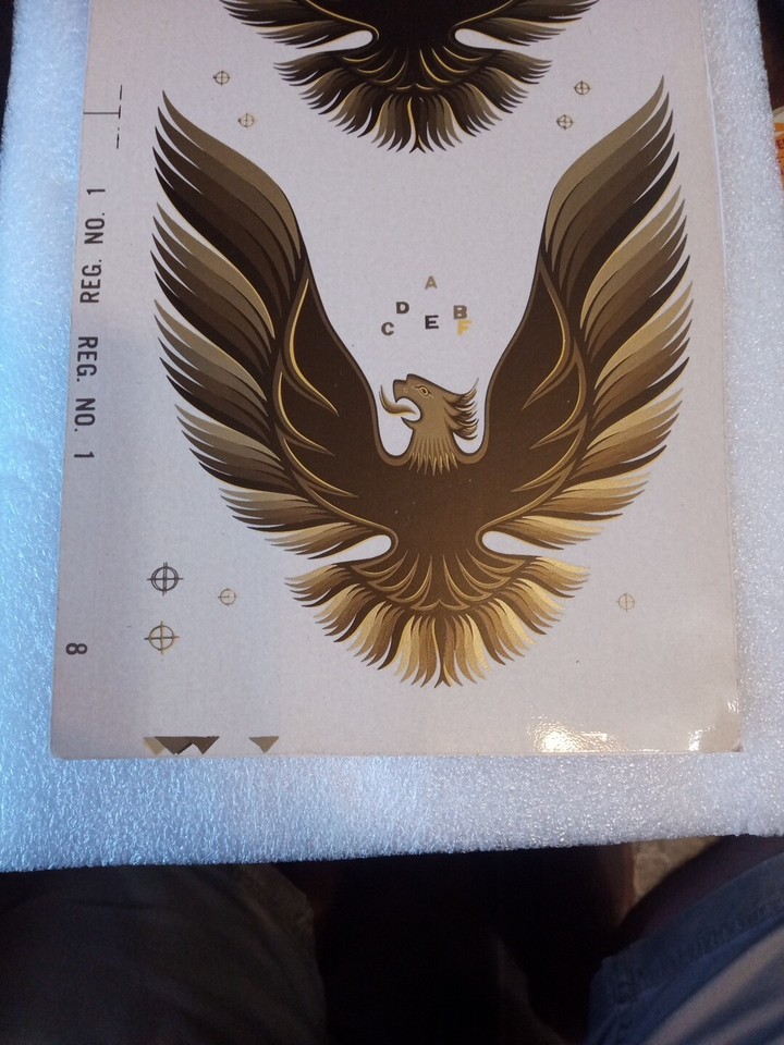 NOS Pontiac Trans Am Firebird 3M Clear Vinyl Gold Printed Decal Sticker ...