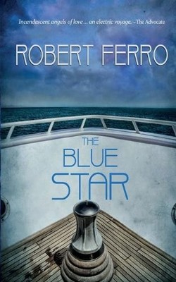 Robert Ferro The Blue Star (Paperback) 9781951092252| eBay