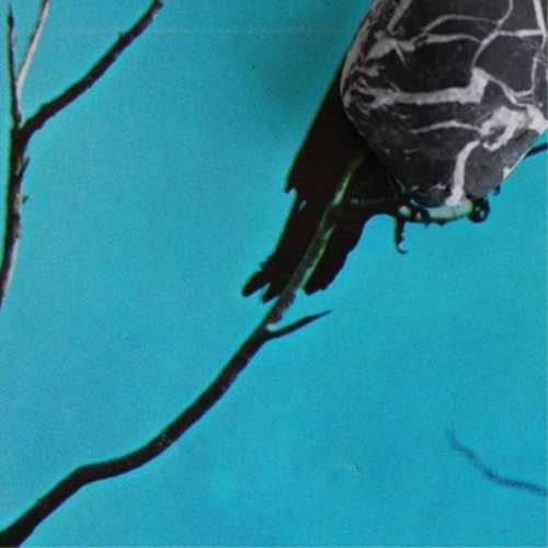 Tangents Stateless (CD) Album (US IMPORT) 656605326726 | eBay