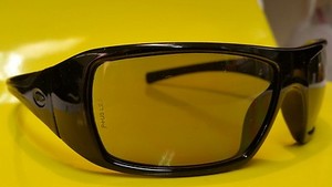 Goliath Pyramex CAN/CSA Z94.3 Sunglasses. | eBay