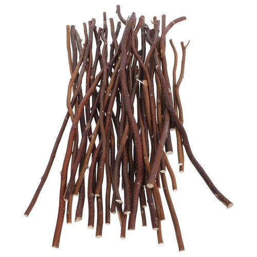 40 Pcs Branch Decoration Miss Twig Sticks for Crafts Wooden Twigs | eBay