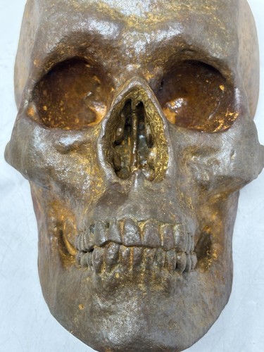 VTG Incredible Human Skull Cast - Unsure Of Material But HEAVY And ...