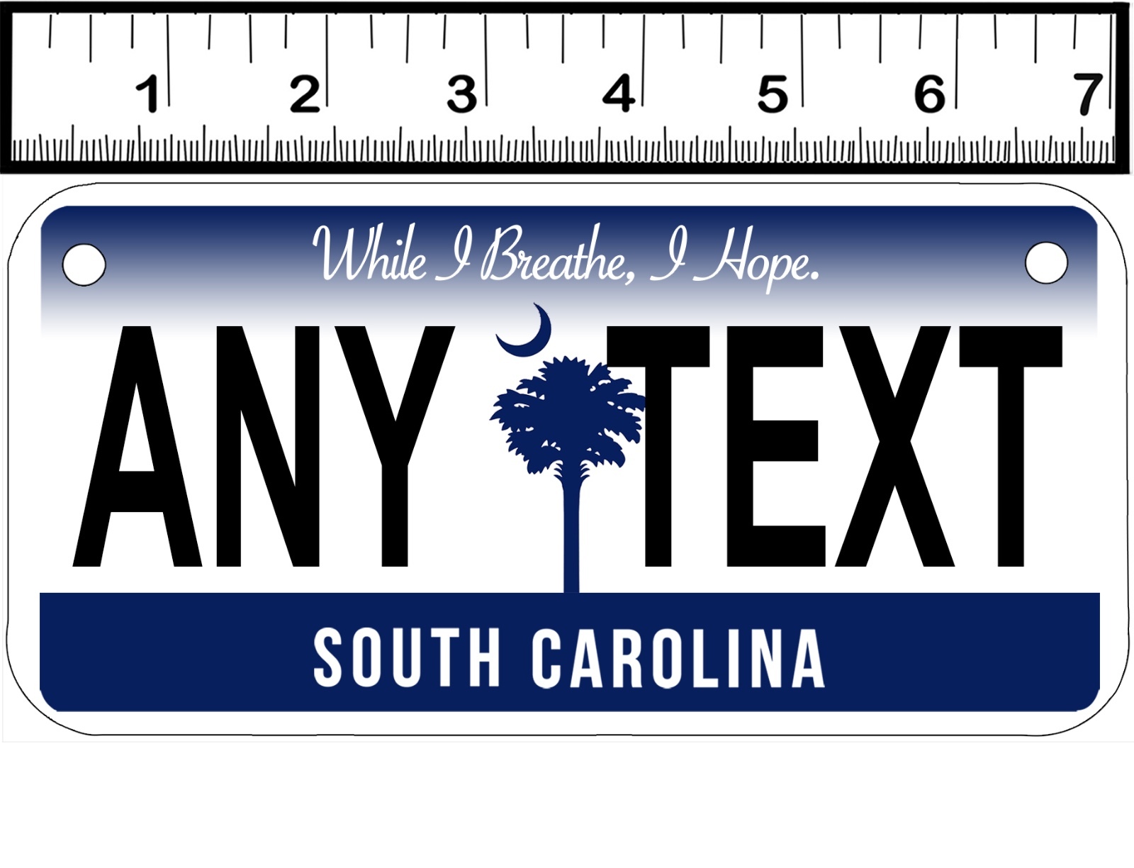 PERSONALIZED ALUMINUM MOTORCYCLE STATE LICENSE PLATE-SOUTH CAROLINA ...