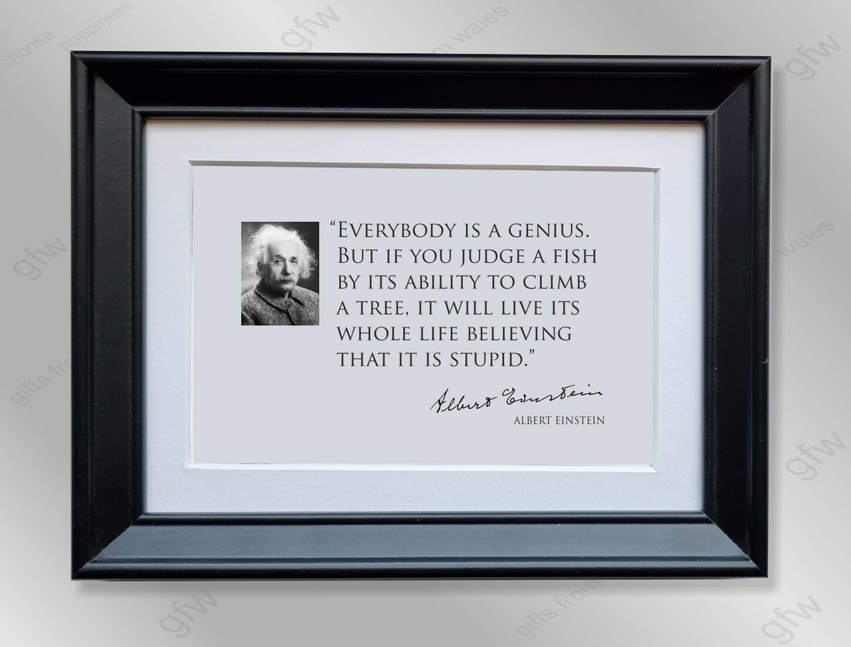 Einstein Quotes Everyone Is A Genius Albert Einstein Quotes Everyone