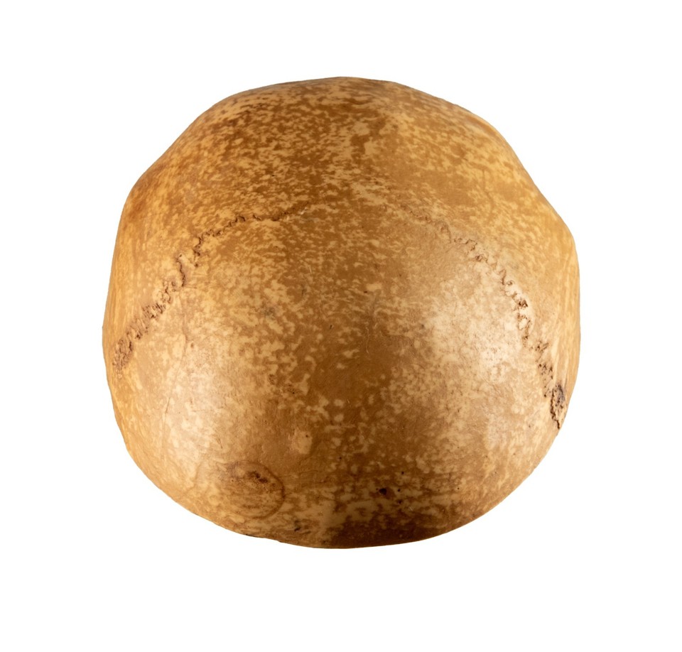 Kapala Tibetan Cup Cranial Ritual Buddhist - Skull Resin #25951 | eBay