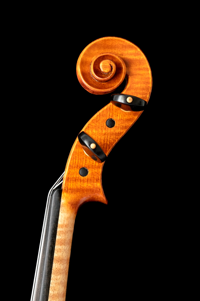 Old violin by Nicolò Cheese | eBay