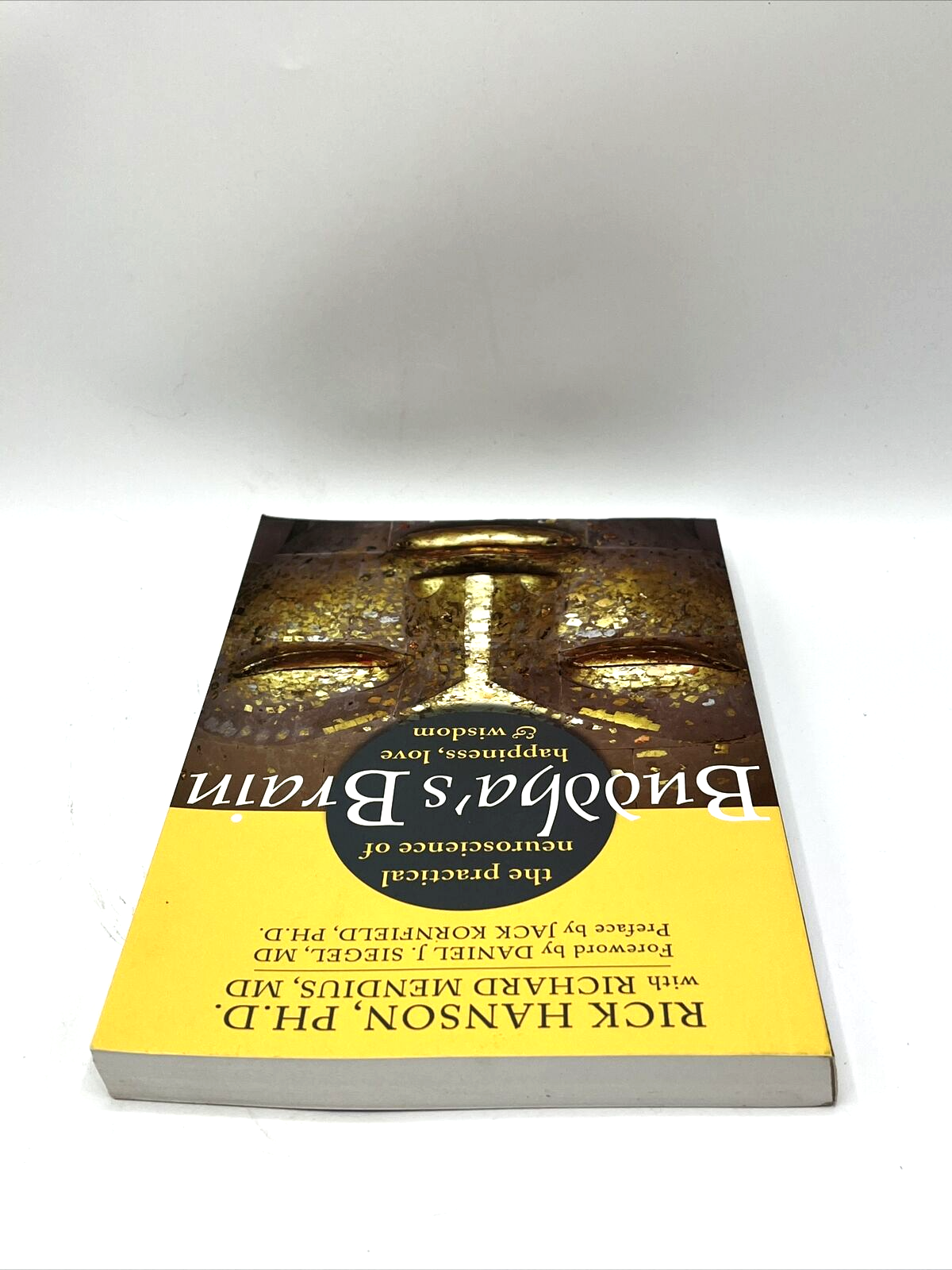 Buddah’s Brain Happiness Love & Wisdom Rick Hanson PH.D With Richard ...