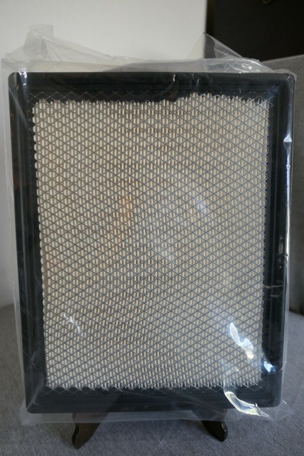 Genuine GM OEM 23349854 Air Filter A3218c for sale online | eBay