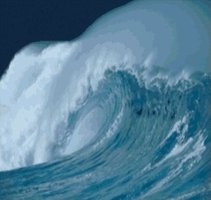 Pop's Pool Tools | eBay Stores