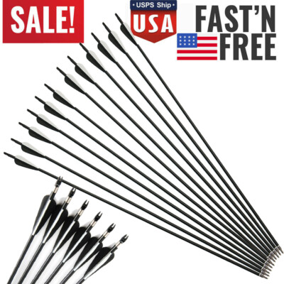 30" Fiberglass Arrows Removable Tips Archery Compound/Recurve Bow ...