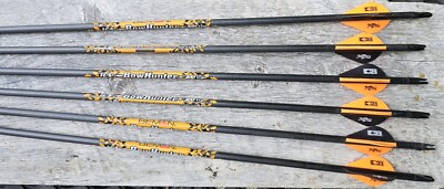 BEMAN ICS BOWHUNTER ARROWS SIZE 300 WITH CB INSERTS, 1 DZ, | eBay