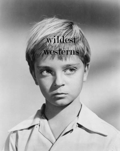 Rare Candid TOMMY RETTIG Lassie Portrait Photo | eBay