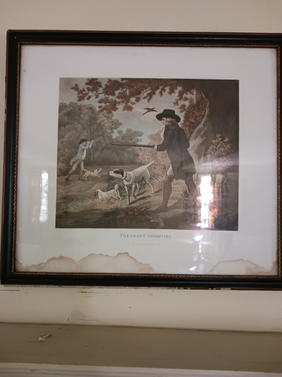 Pheasant Shooting London