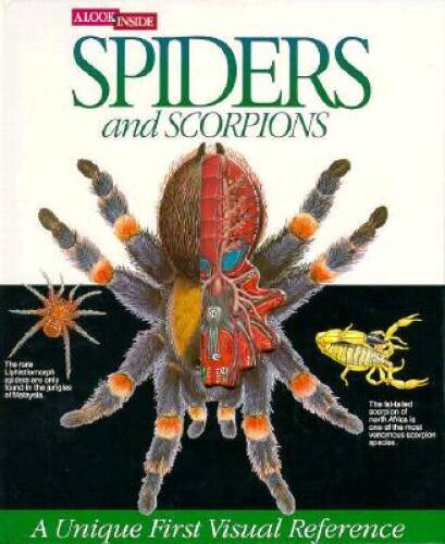 A Look Inside Spiders and Scorpions (Look Inside (Heinemann)) - GOOD ...