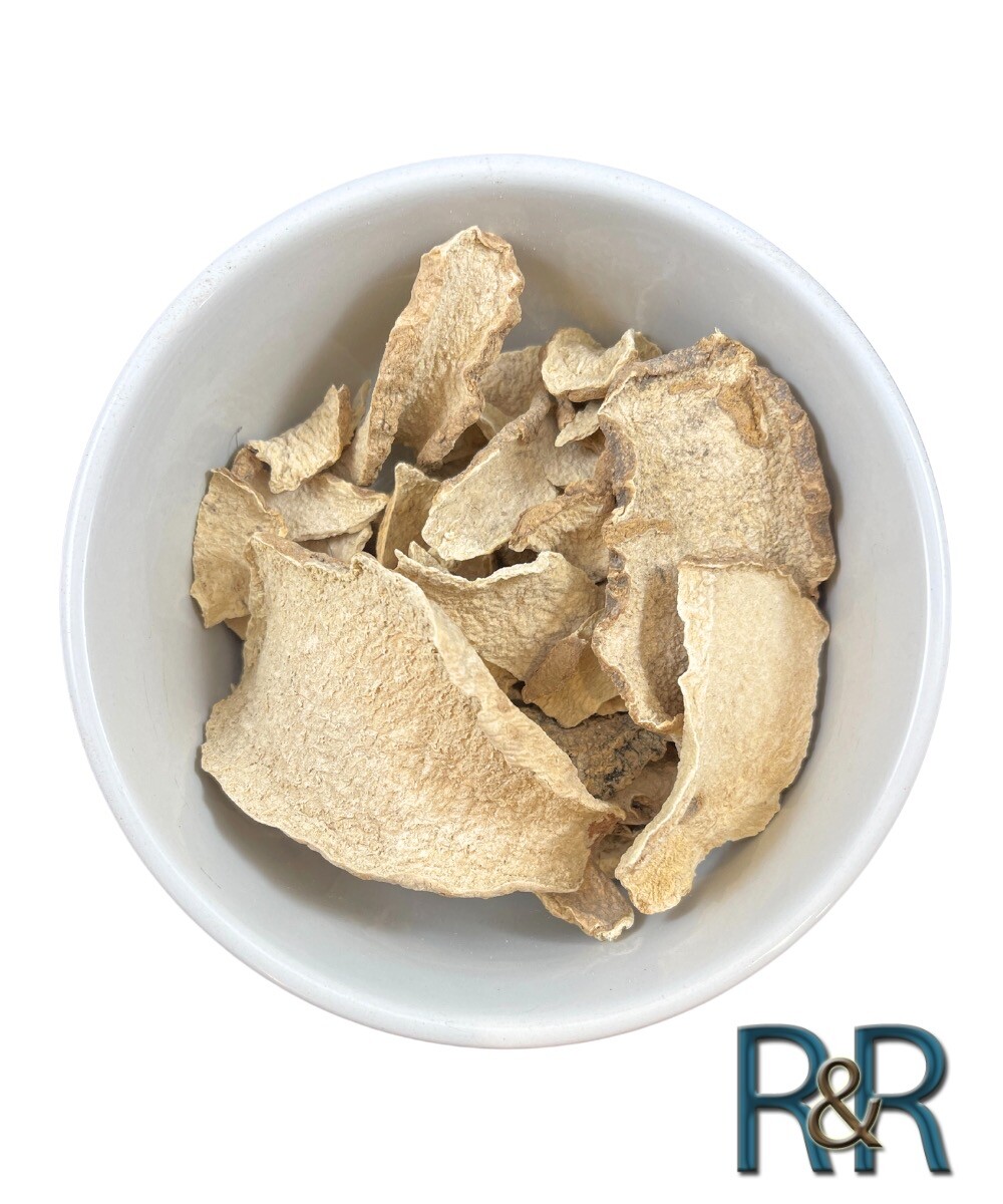 Mexican Wereke Root (Ibervillea Sonorae, Huereque, Guareque, Wareki ...